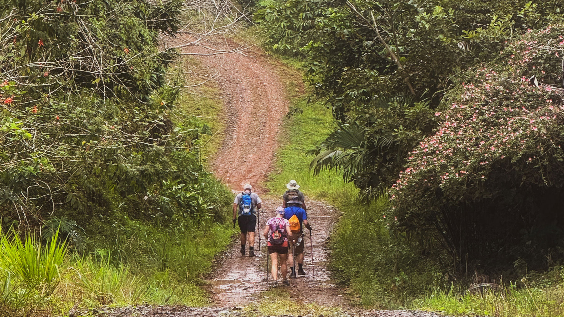 Everything you need to know about El Camino de Costa Rica